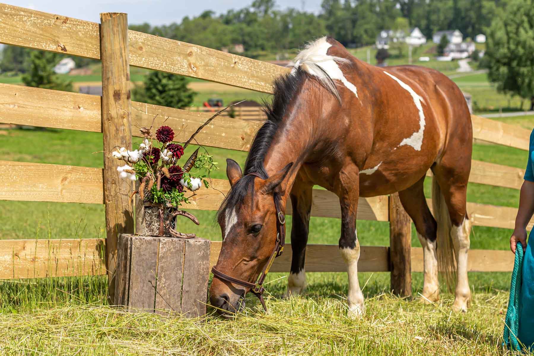 Gallery - Pinewood and Posies