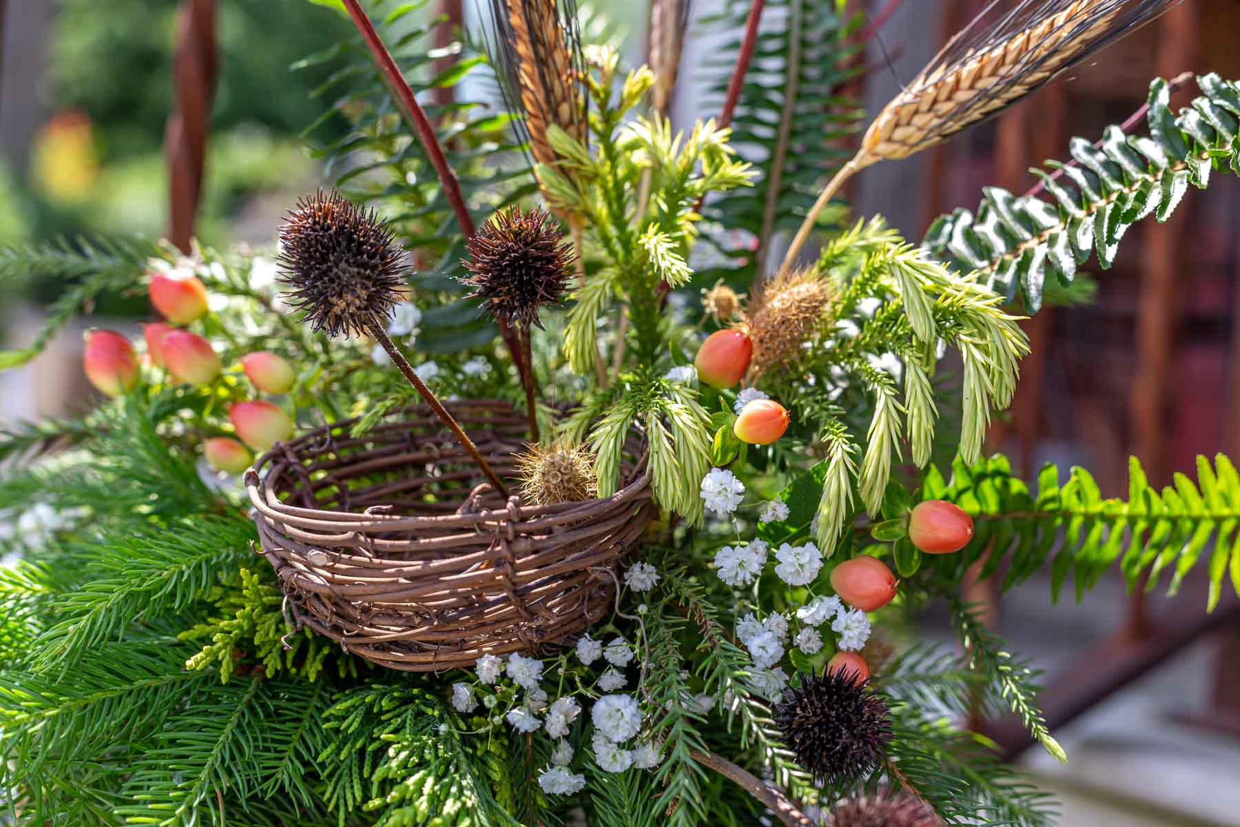 Gallery - Pinewood and Posies