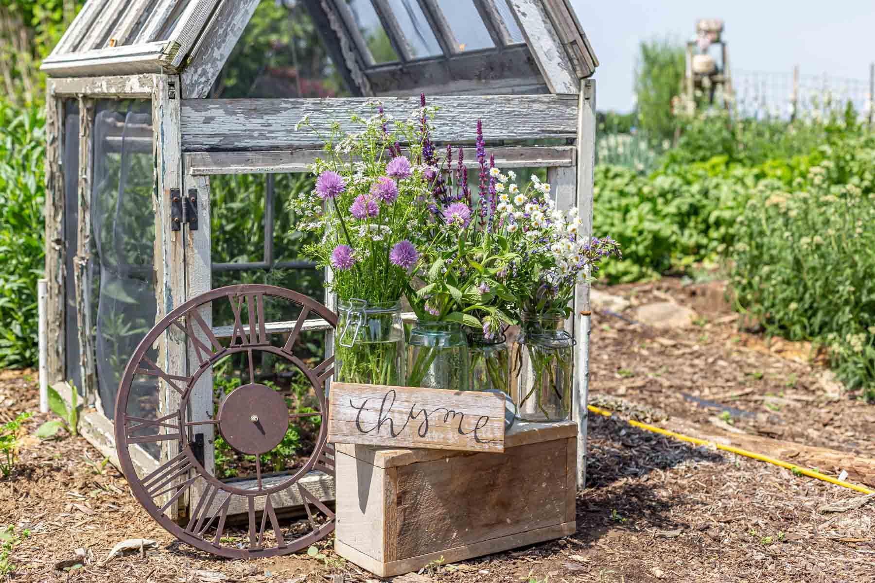 Gallery - Pinewood and Posies