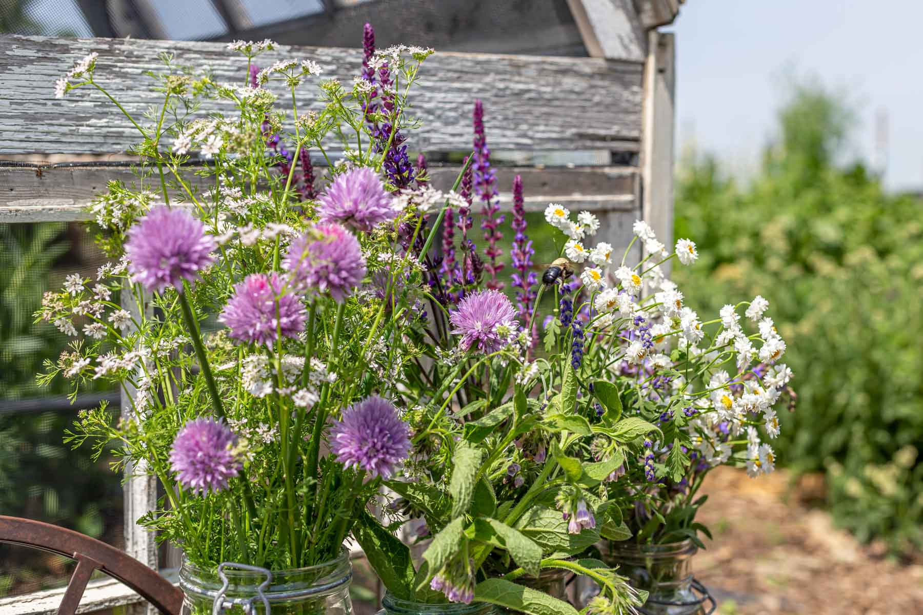 Gallery - Pinewood and Posies